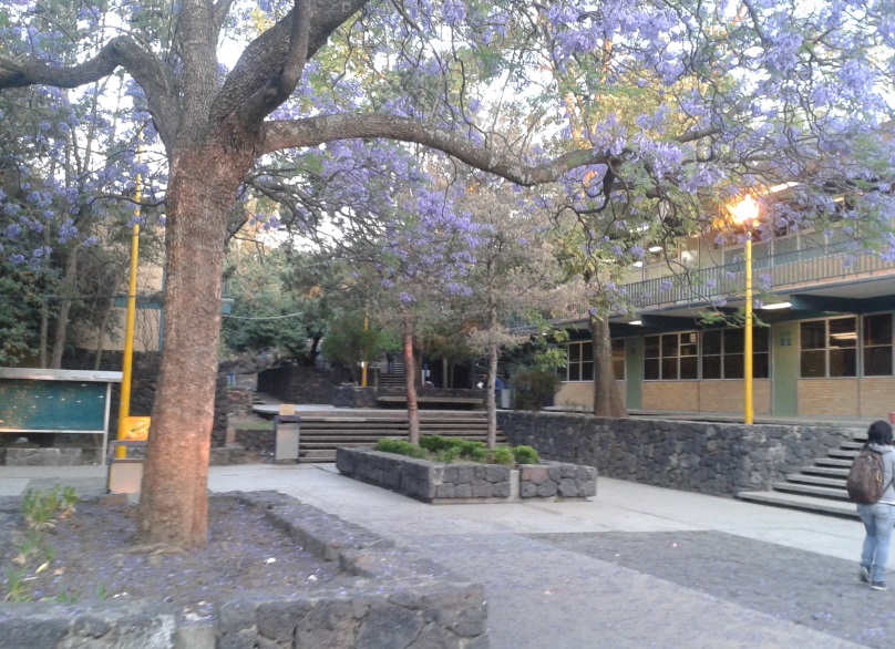 Aylin Ordoñez 618: Limpieza en CCH Sur