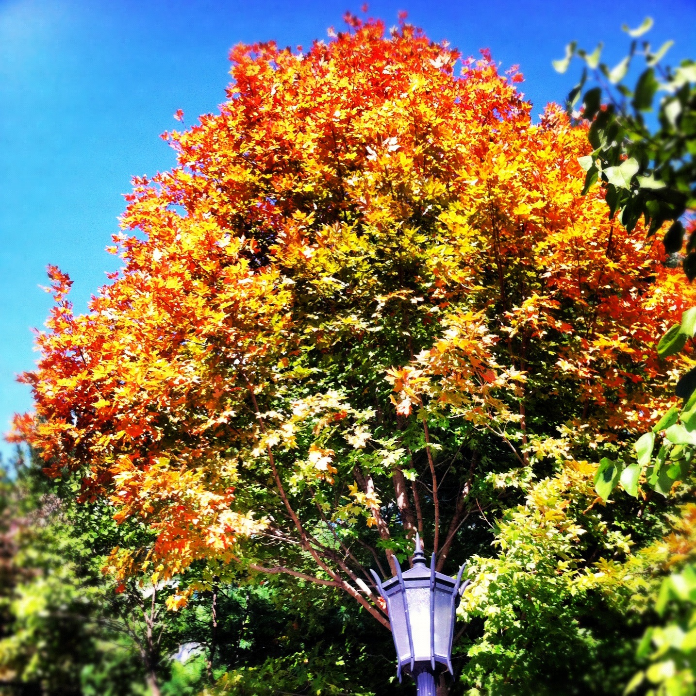 BC Blog: Boston College from a Senior's Perspective