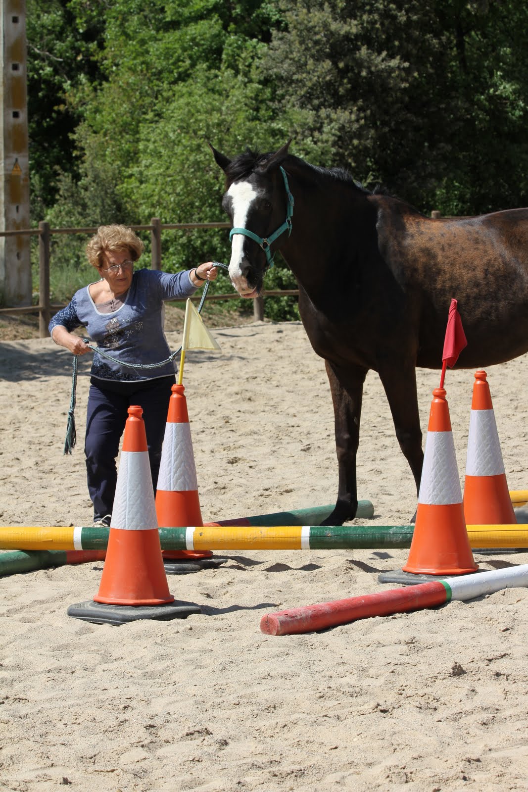 Cava Horse-Coaching: EN QUE CONSISTE EL HORSE-COACHING