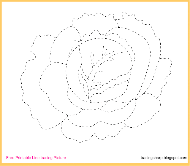 Free Tracing Line Printable: Cabbage Tracing Picture