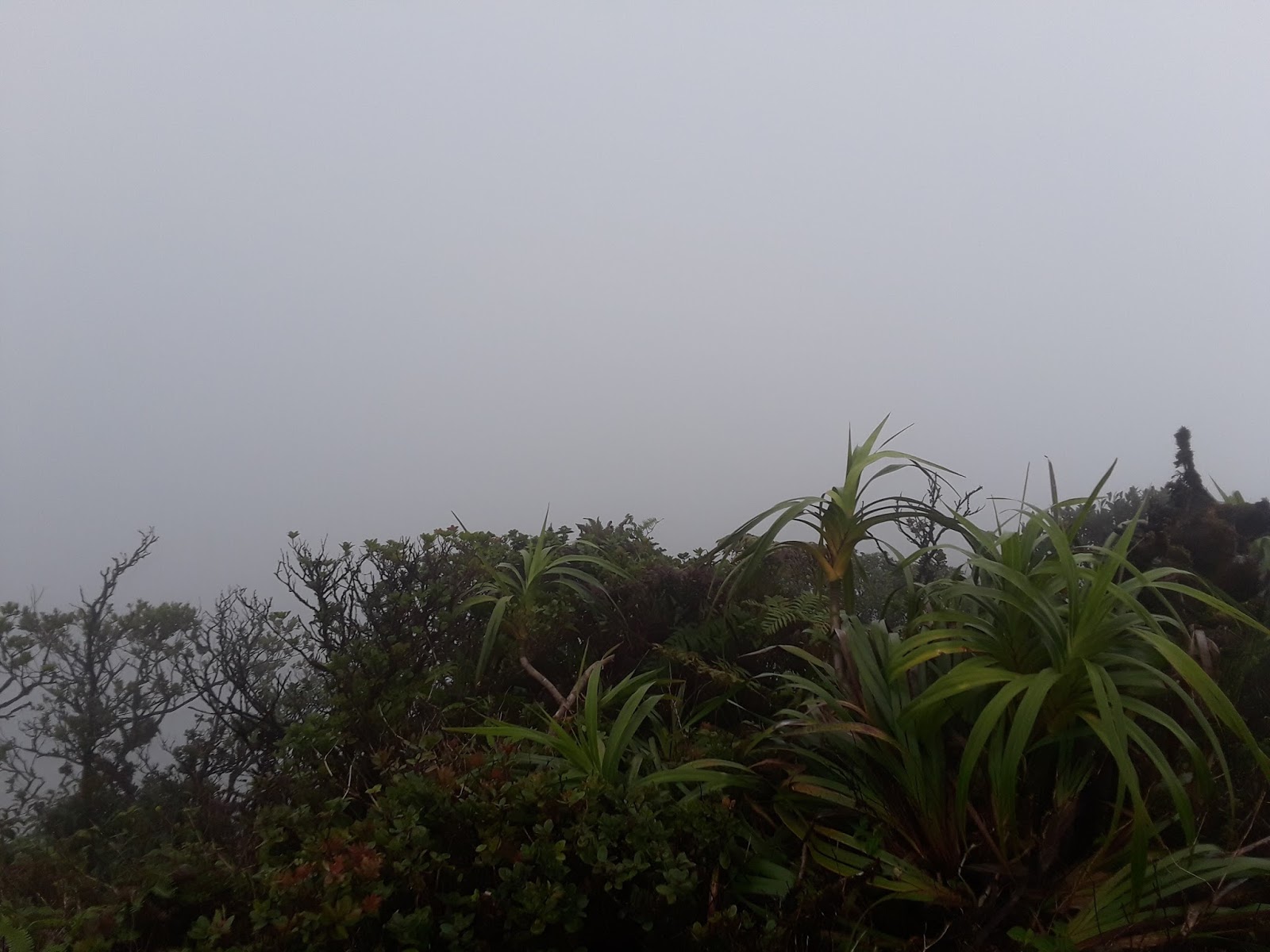 Elder Logan Porter: April 2018