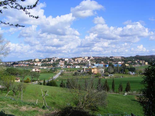 COLLESALVETTI: UN PLAUSO ALLA GIUNTA BACCI | OSSERVATORE TOSCANO