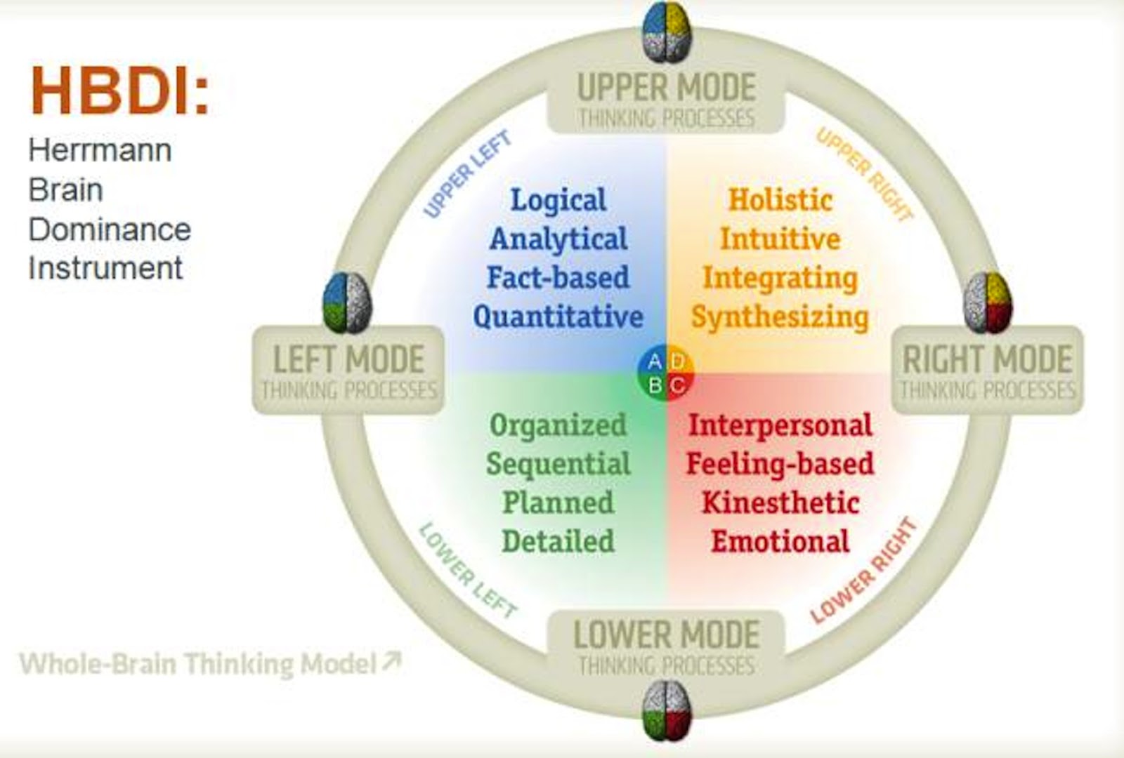 Thinking Styles Lead to Styles of Leading