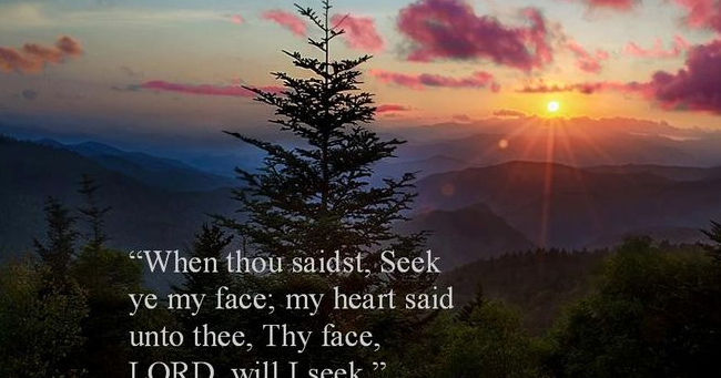 PRAY BIBLE PROMISES: PSALMS (152)