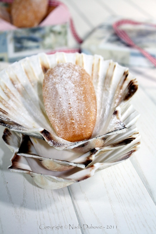 Just good food: Madeleines