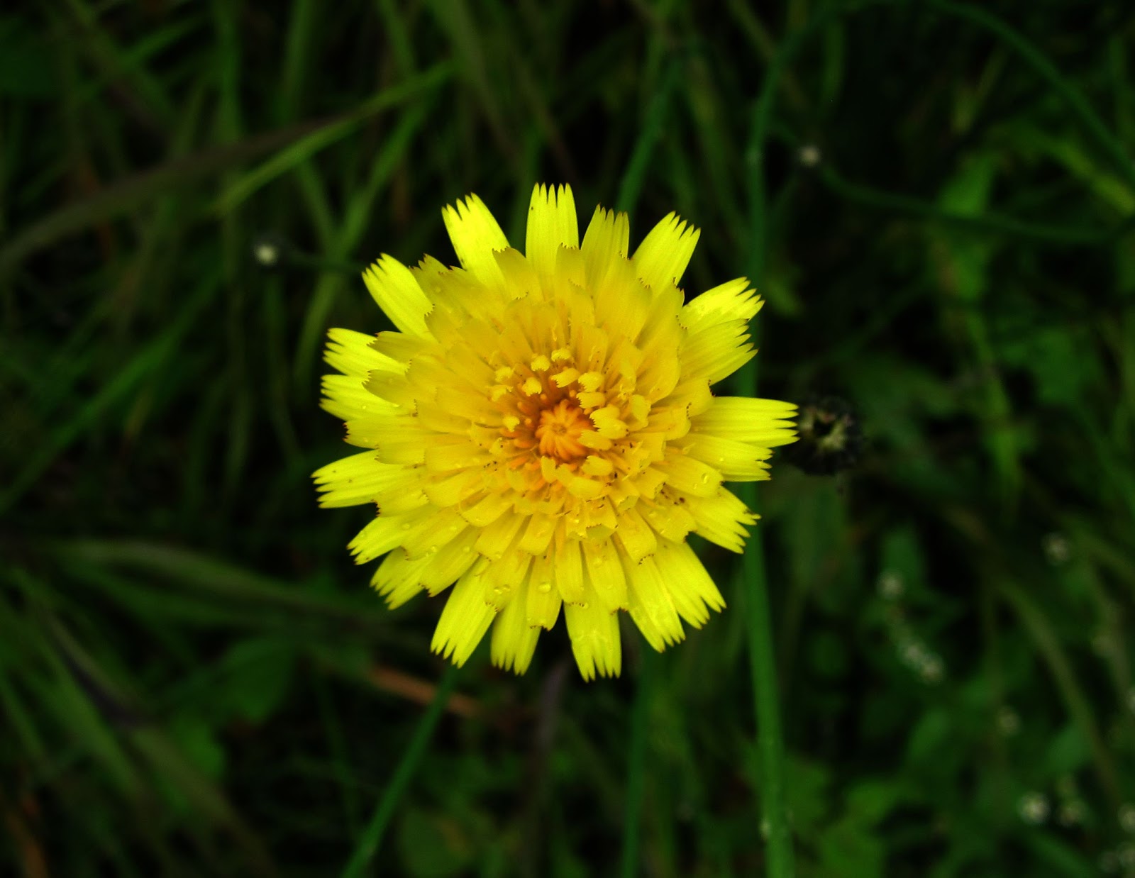 Overcome life: Beautiful natures in Bhutan :)