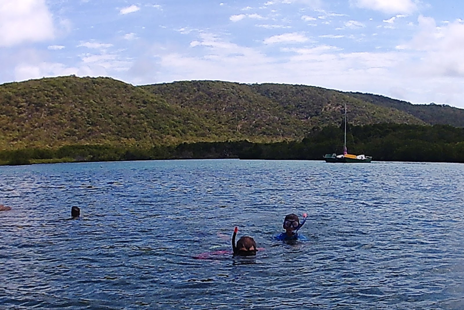 Dreamtime Sail: Middle Percy Island – The cruiser’s Great Barrier Reef ...