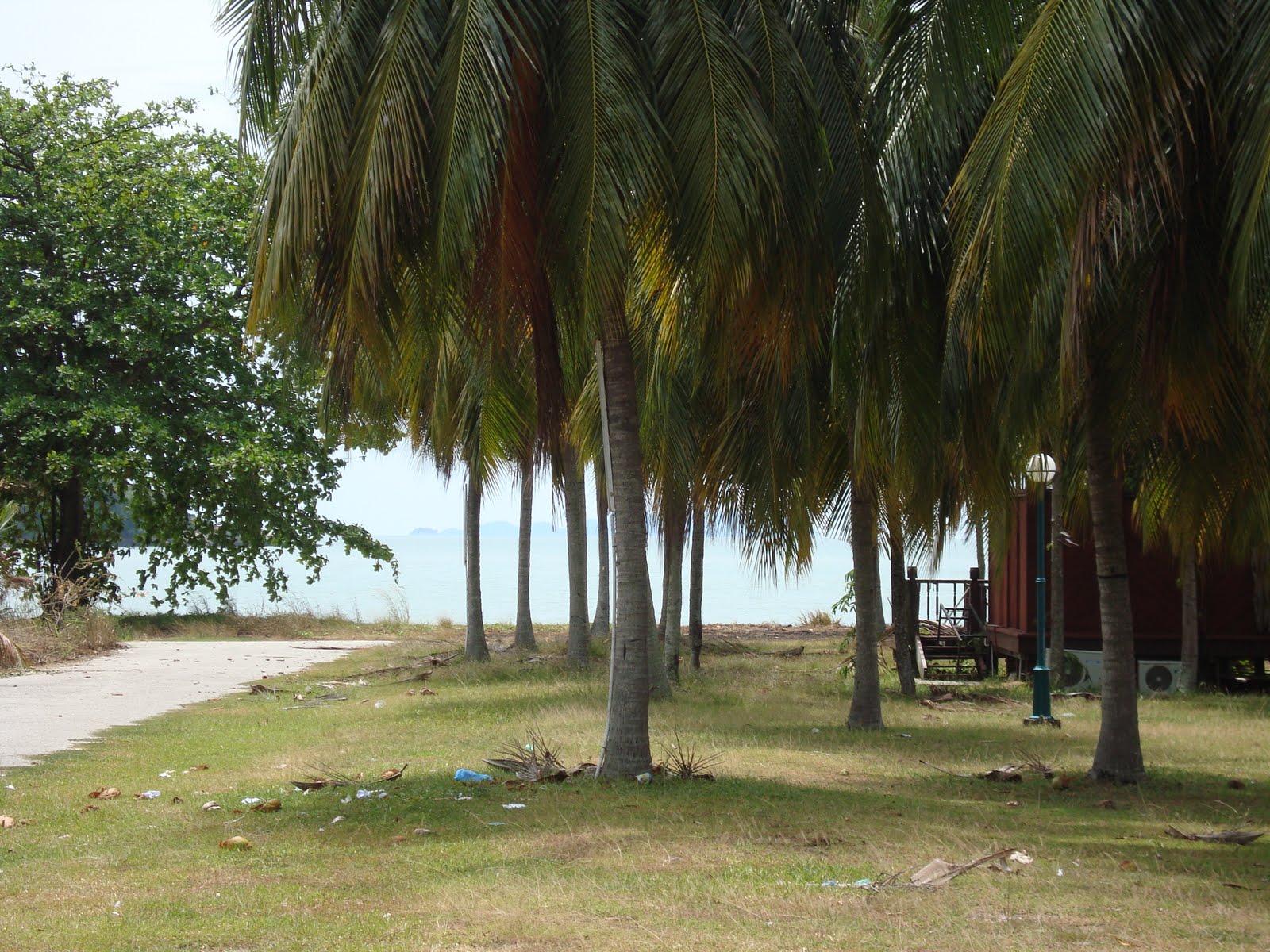 SUSTAINABLE LIVING INSTITUTE (SAVE): THE RAPE OF TELUK RUBIAH?