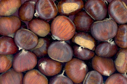 Le Coin du Français: Comment dire "les couleurs" en français ? * 法文怎麼說 ...