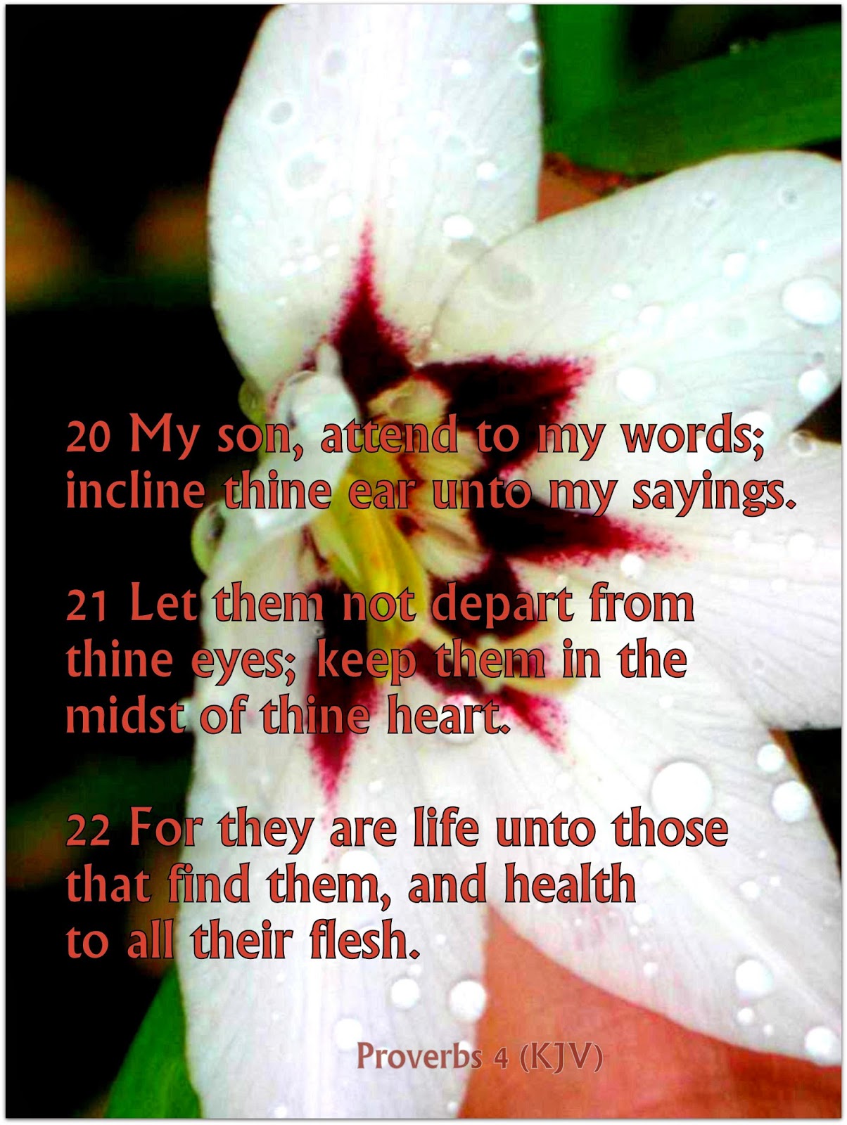 Red Pill Diaries: Proverbs 4 (KJV)