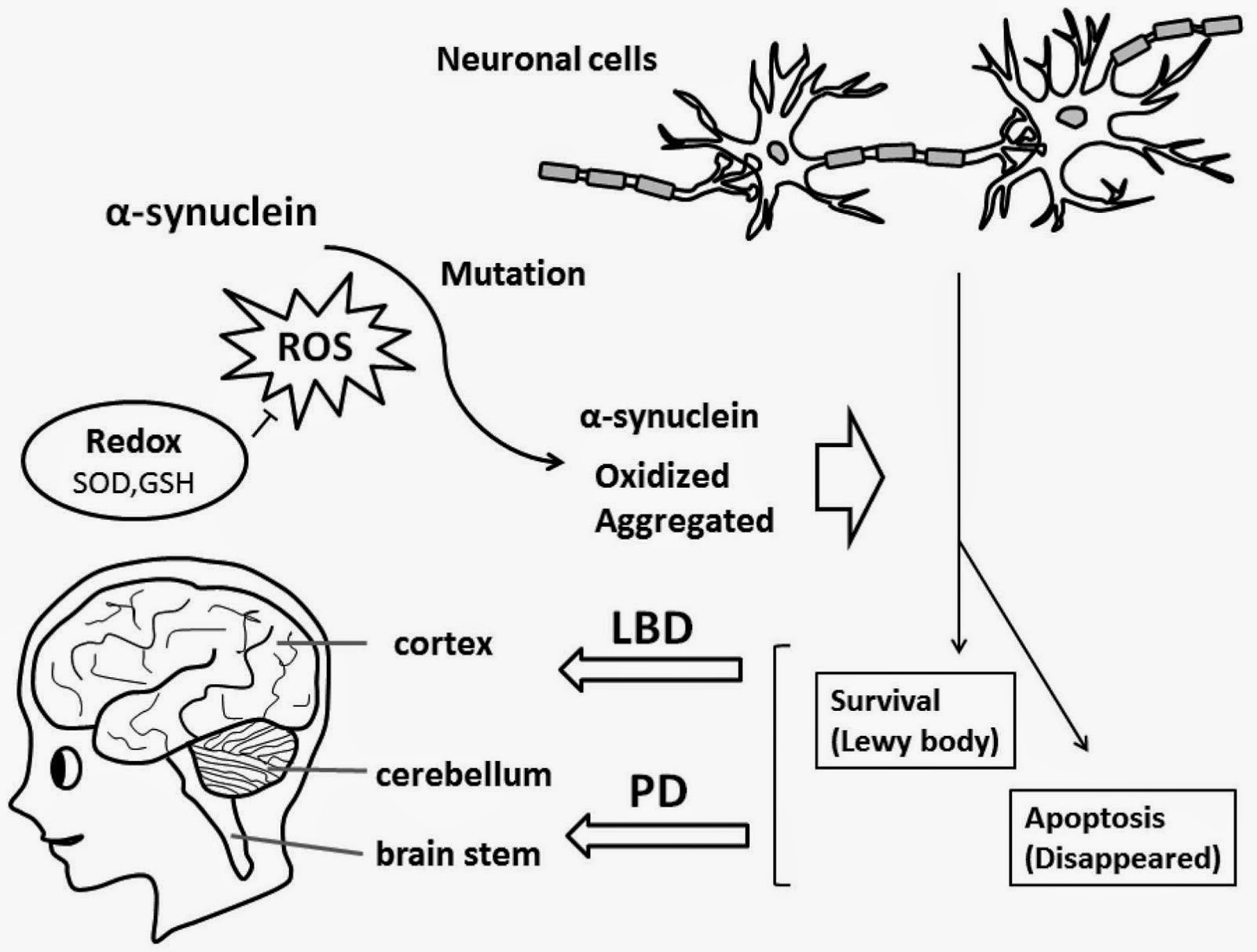 PARKINSON'S DISEASE