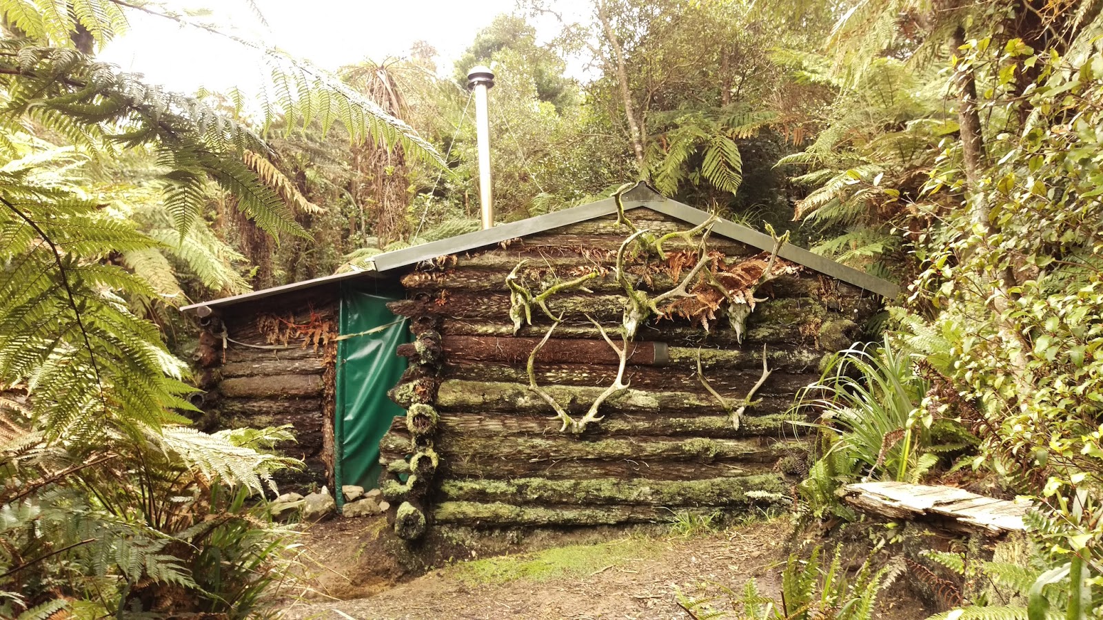 Tramping: Punga Hut or Miro Valley Hut