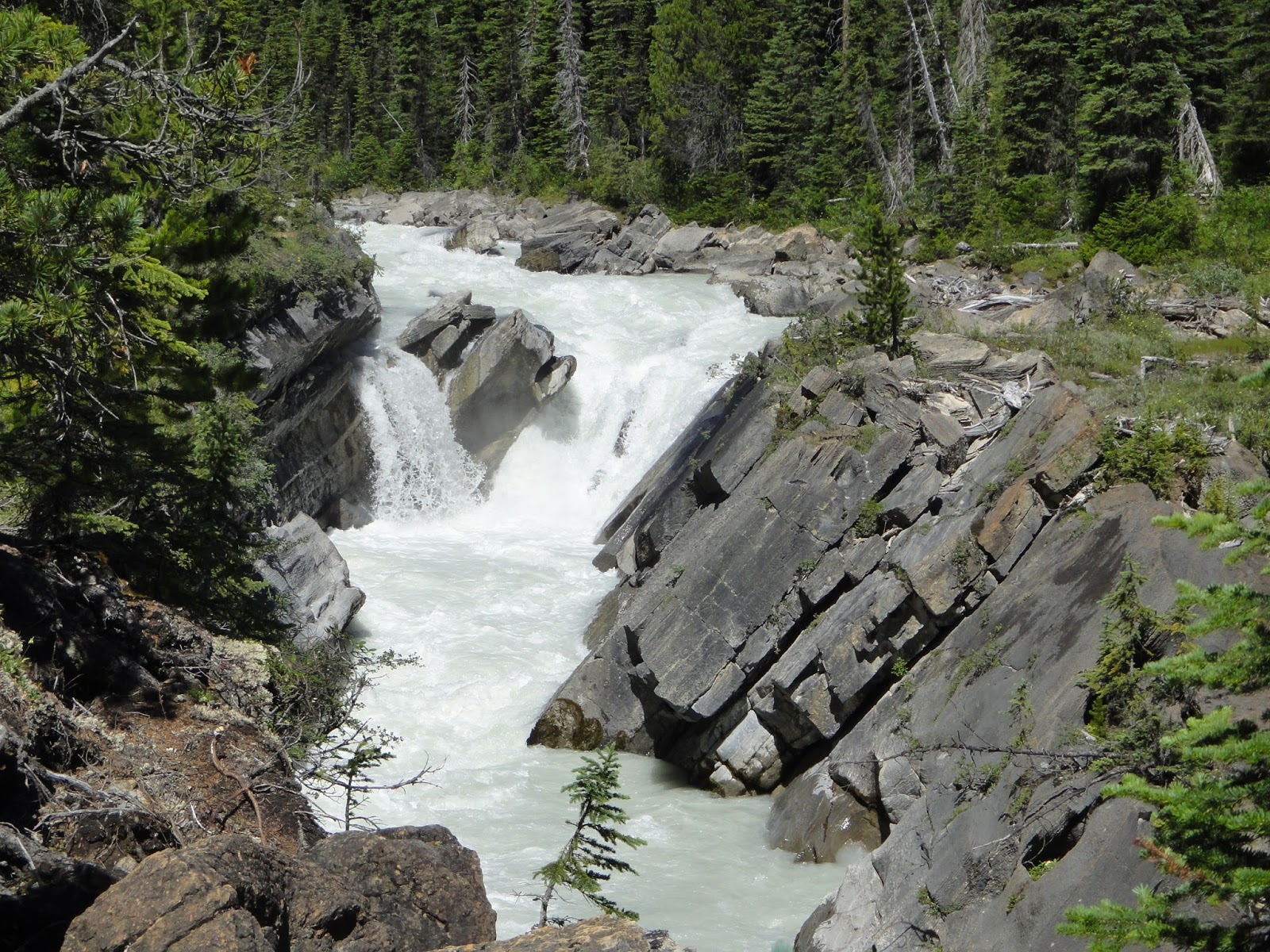 Get Me Outdoors: Yoho National Park
