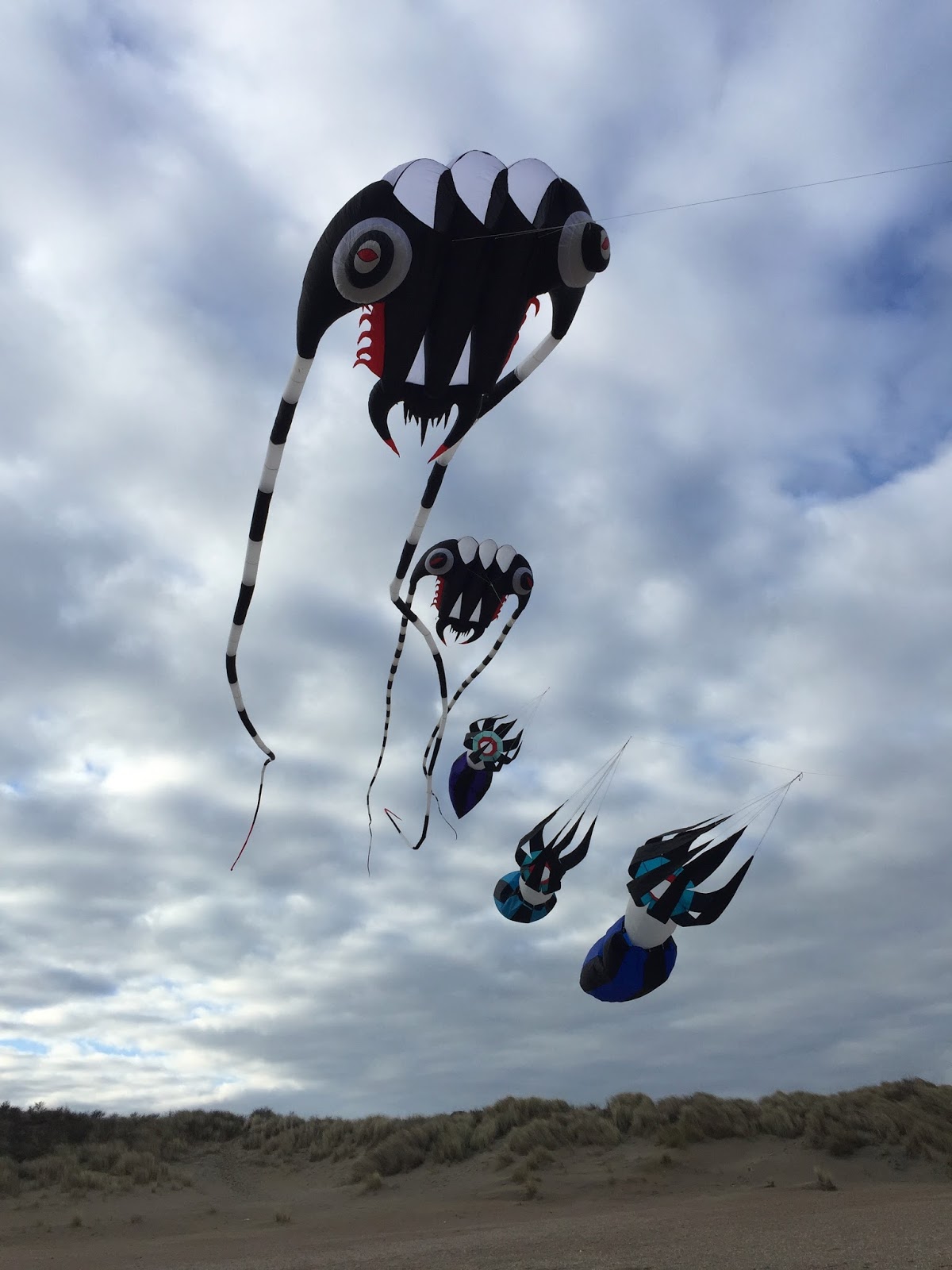 B-kites: Squid and Trilobites discovered in Ouddorp