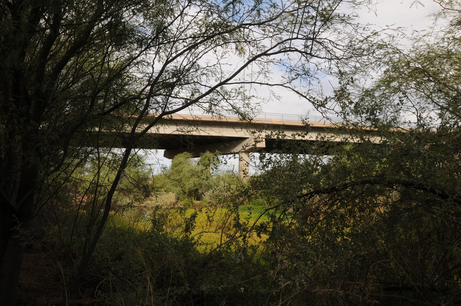 Arizona Hiking: RIO SALADO HABITAT RESTORATION AREA