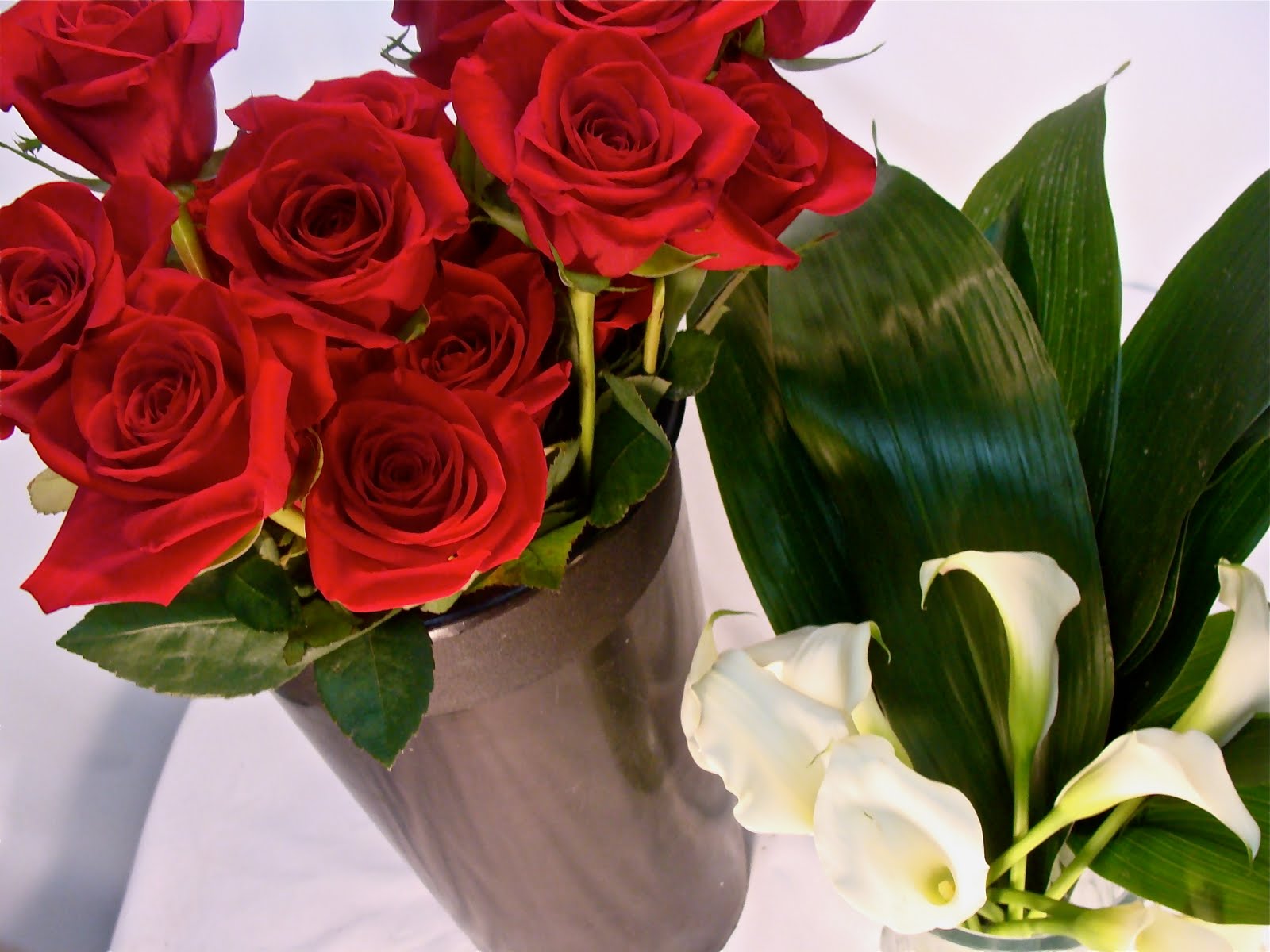 florissimo: red roses a mini calla lilies