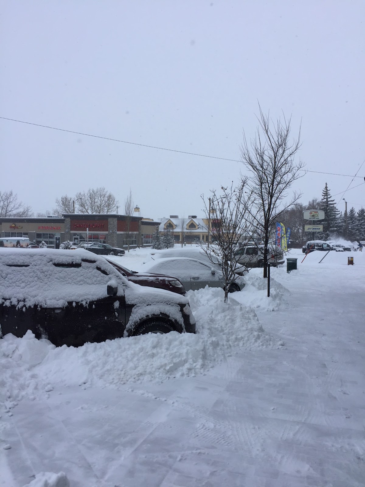 The view from here: Snowpocalypse update