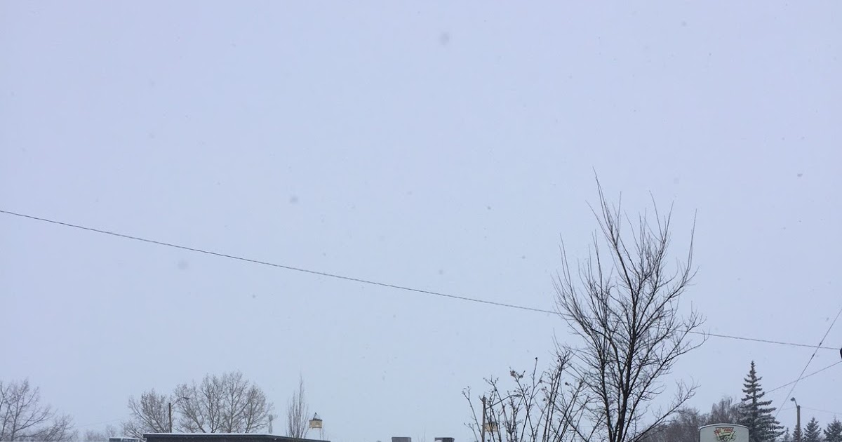 The view from here: Snowpocalypse update