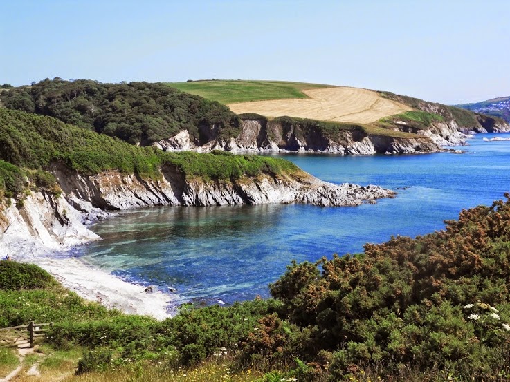 67 Not Out: Glimpses Of Cornwall