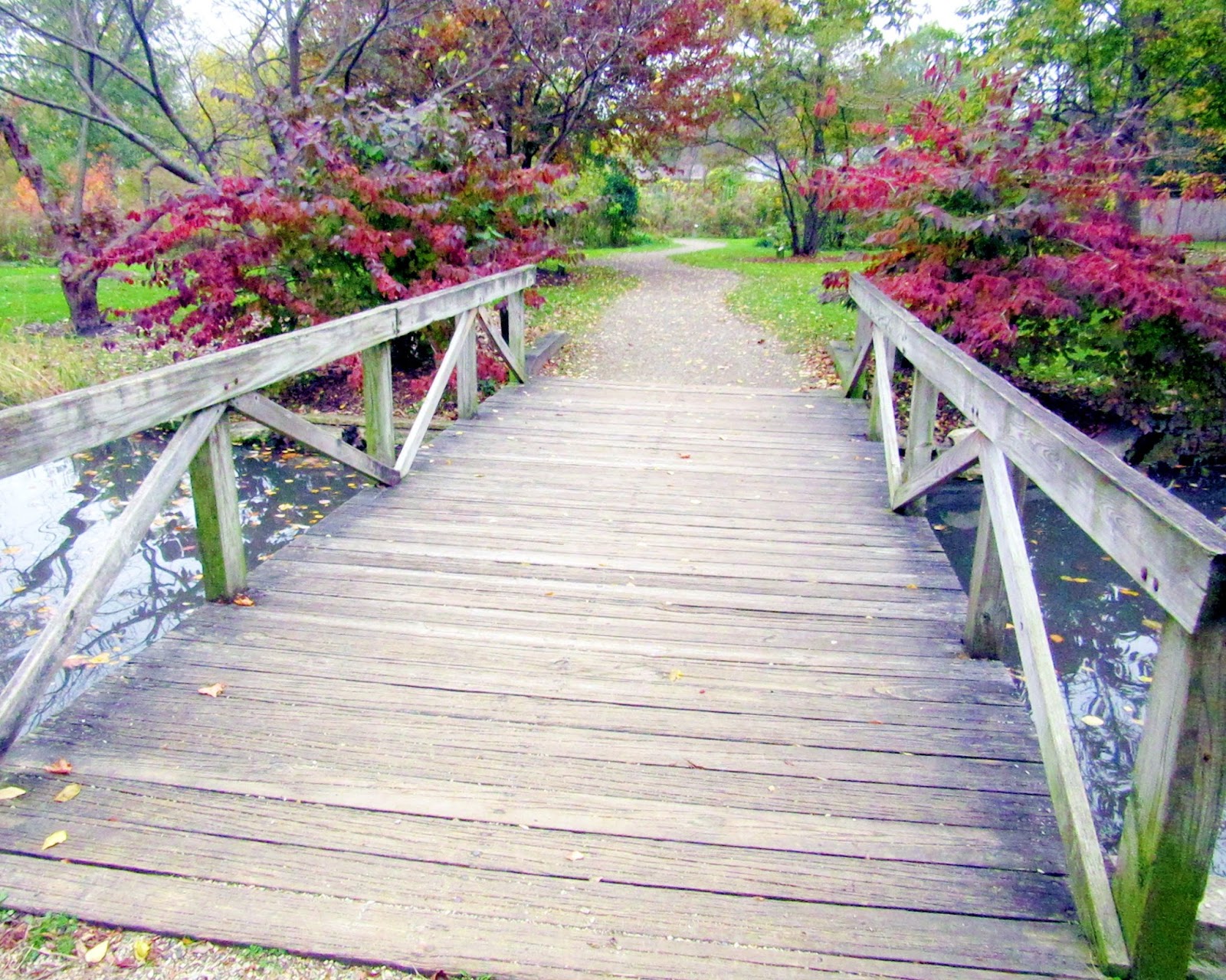 Seth Saith: Saturated Nature - A Photo Gallery