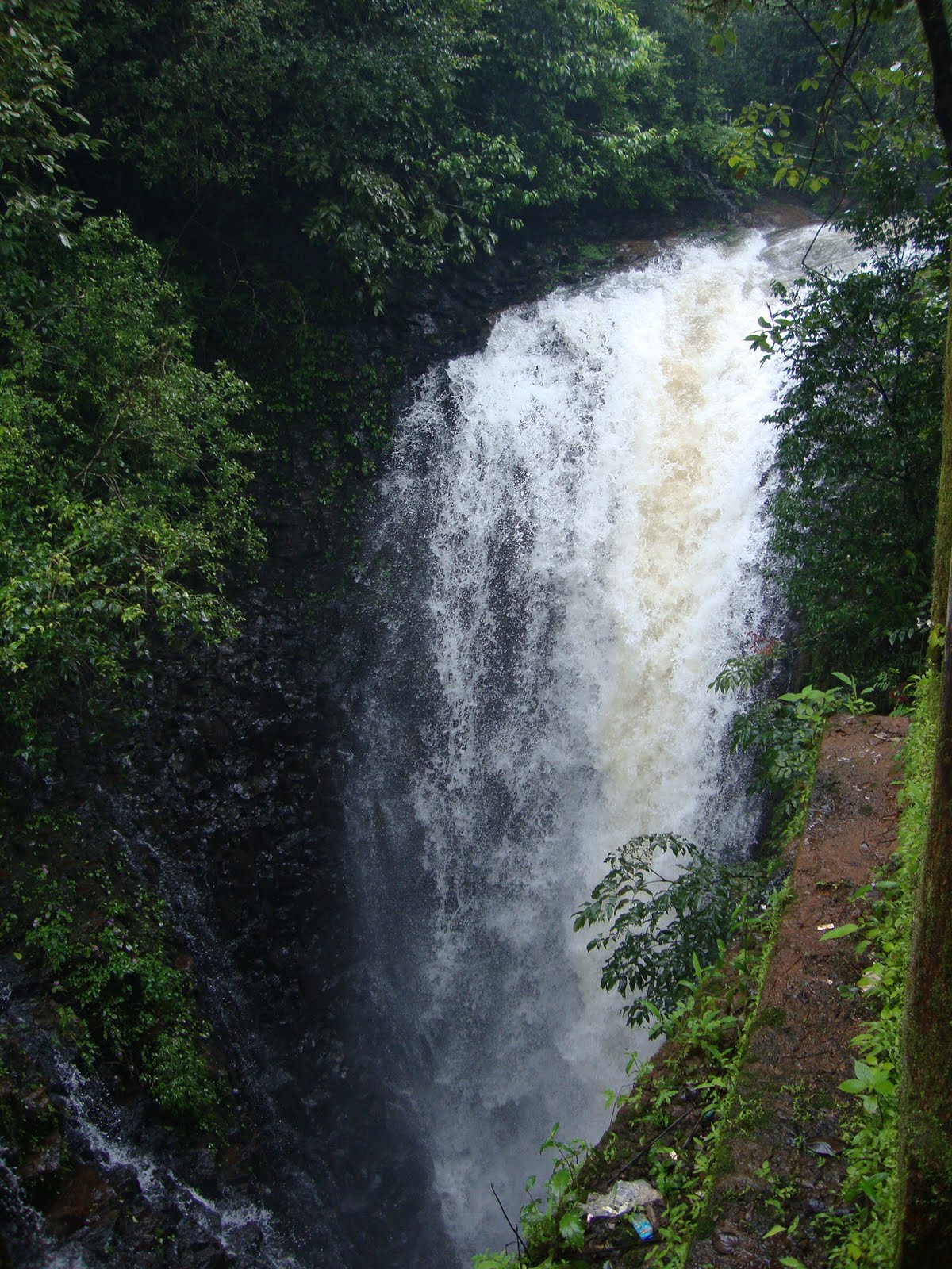 Truly 'I' or Truly 'Me': Amboli ghats - The Nature's Retreat , Shiroda ...