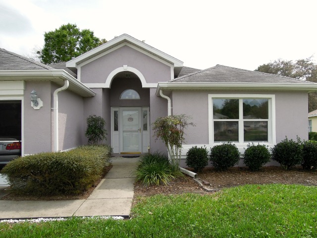 " Welcome to Lavender Dreams ": The Purple House