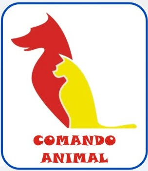 DISTRIBUIDOR COMANDO ANIMAL: CARACTERISTICAS DE UN ALIMENTO PREMIUM