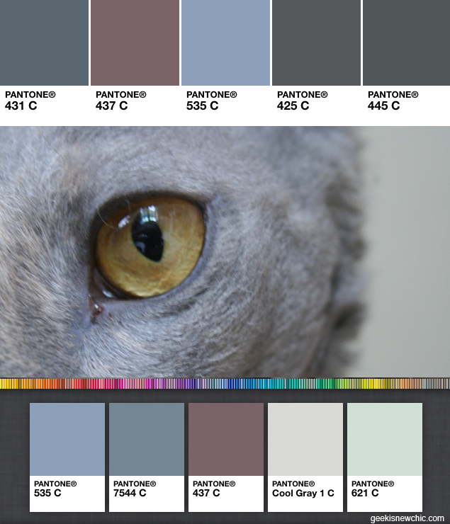 Pantone your cat