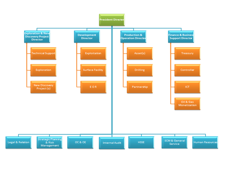 Manajemen Stratejik PT. Pertamina (Persero)