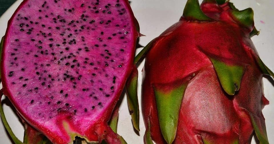 Variedades de Pitayas