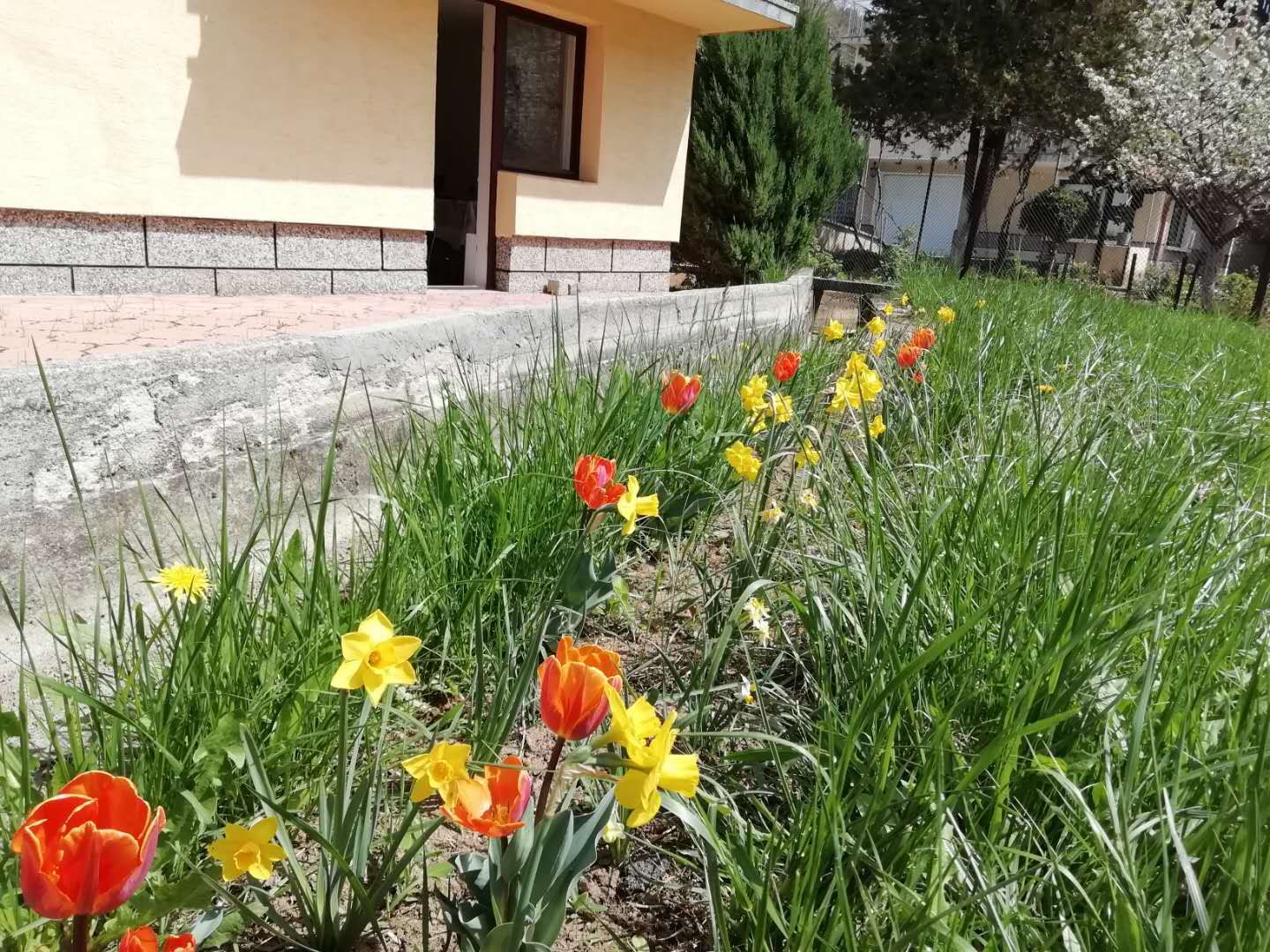 A Weekend in Kalotina, Part 2