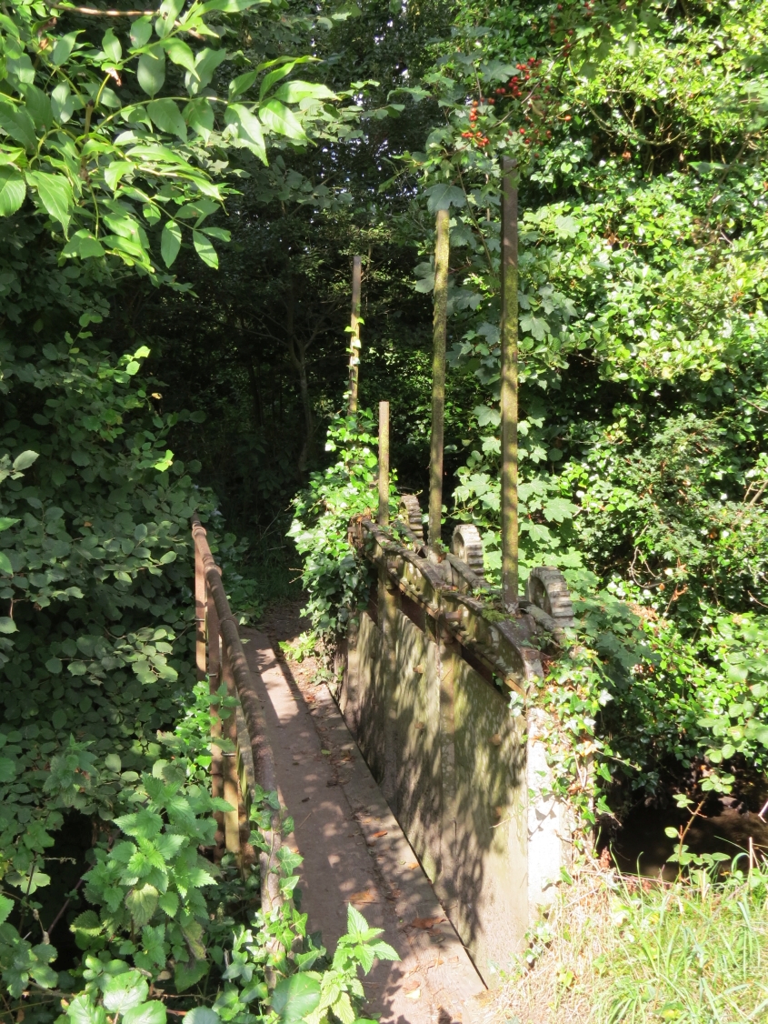 Walking Dorset's gridsquares: Frome Valley Trail - Part 2 - Maiden ...