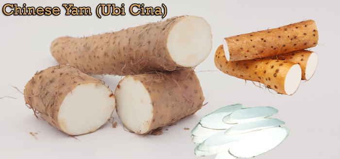 Yulianti Herbal: Khasiat Ubi China (Chinese Yam) Untuk Kesehatan