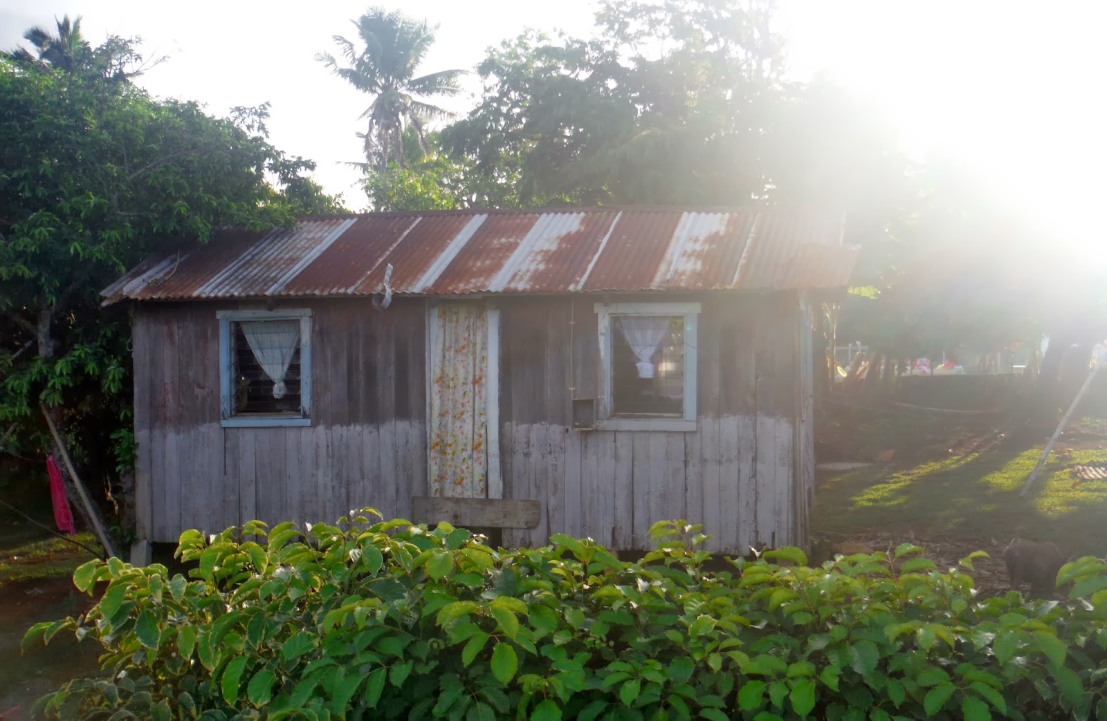 Testimonies from Tonga: TONGAN HOUSES