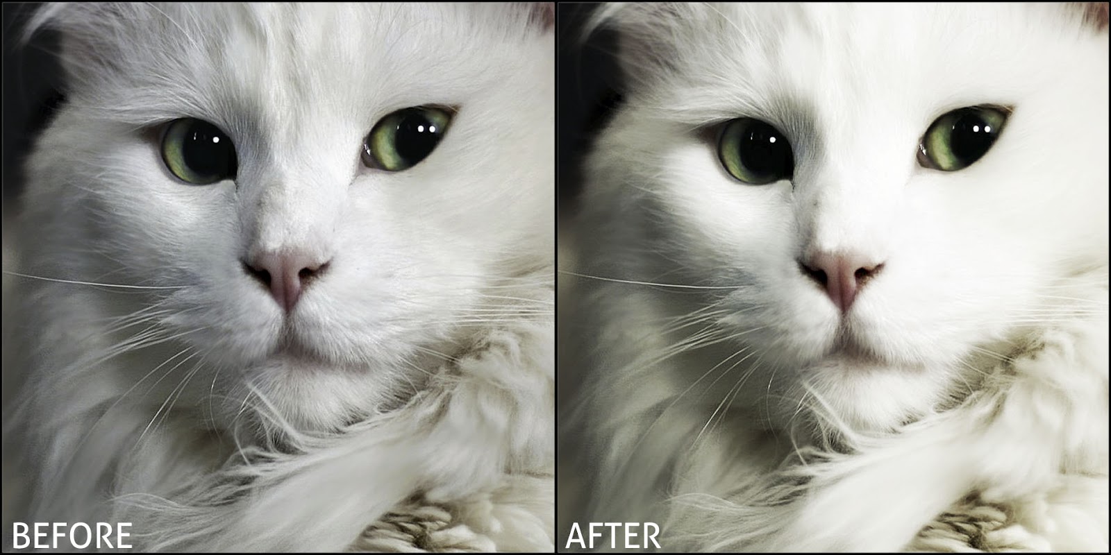 3 Free Photoshop Actions | ibjennyjenny Free Resources