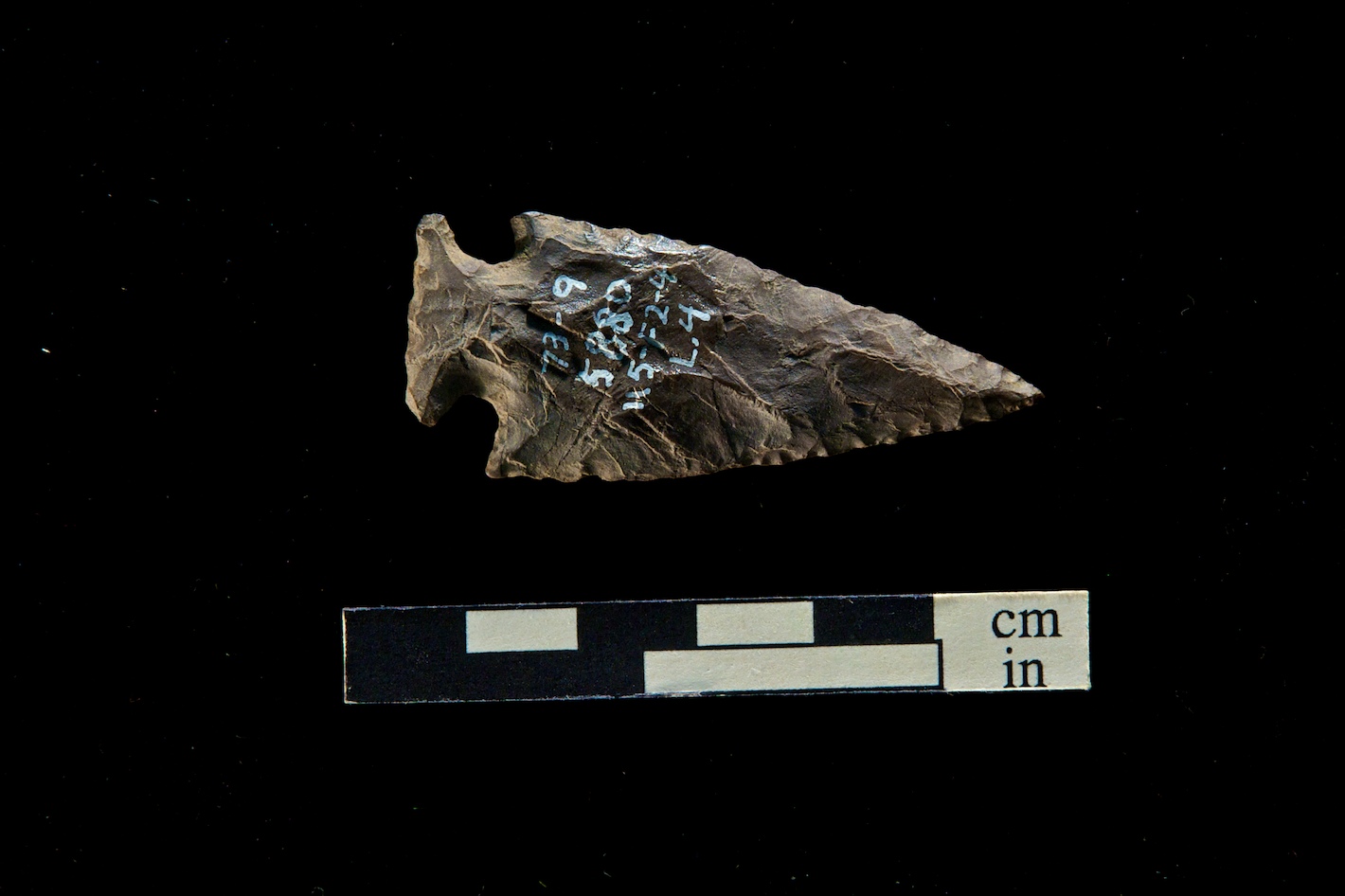 Hirundo Wildlife Refuge: University of Maine Photography Session