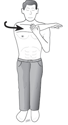 UW Shoulder and Elbow Academy: Stretching - a key to recovery in ...