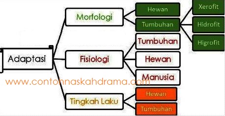 Pengertian Adaptasi Makhluk Hidup dan Macam-macamnya – CND
