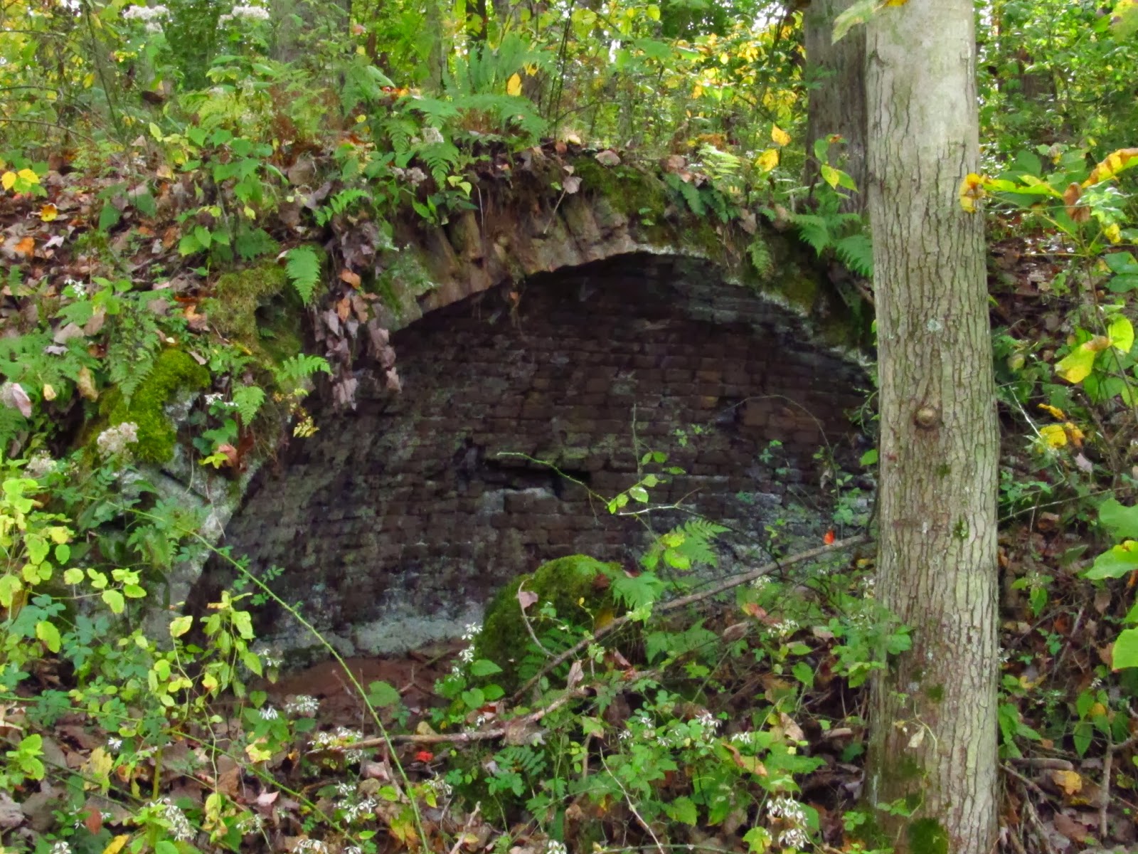 Old Industry of Southwestern Pennsylvania : Southwest No. 3/Tarrs, PA