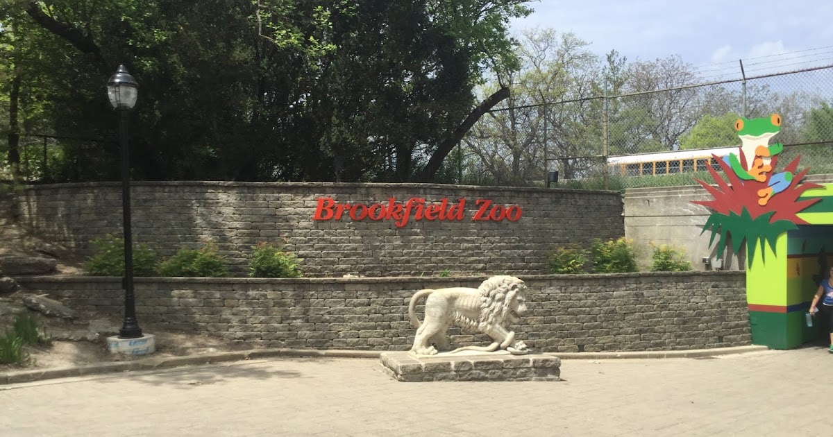 Field Trip to the Brookfield Zoo
