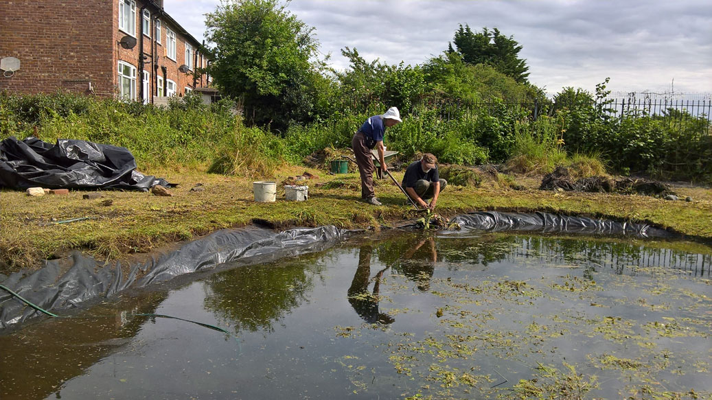 Wirral Wildlife Blog: Putting The Finishing Touches To The Pond