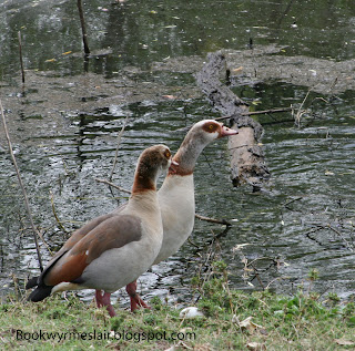 Bookwyrme's Lair: Demonic Geese?