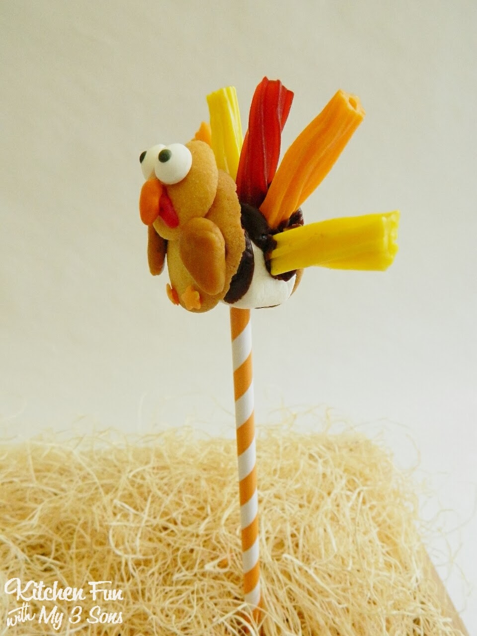 Thanksgiving Turkey Cookie Pops - Kitchen Fun With My 3 Sons