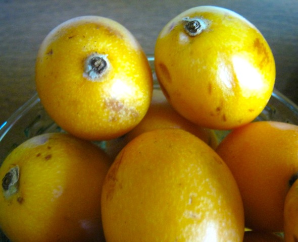 somerville kitchen: Last Fruits of Spring