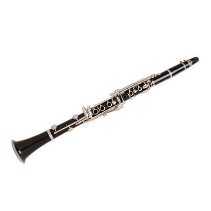 A Musical Vision: The Long and (Wood)Winding Road of Two Clarinets