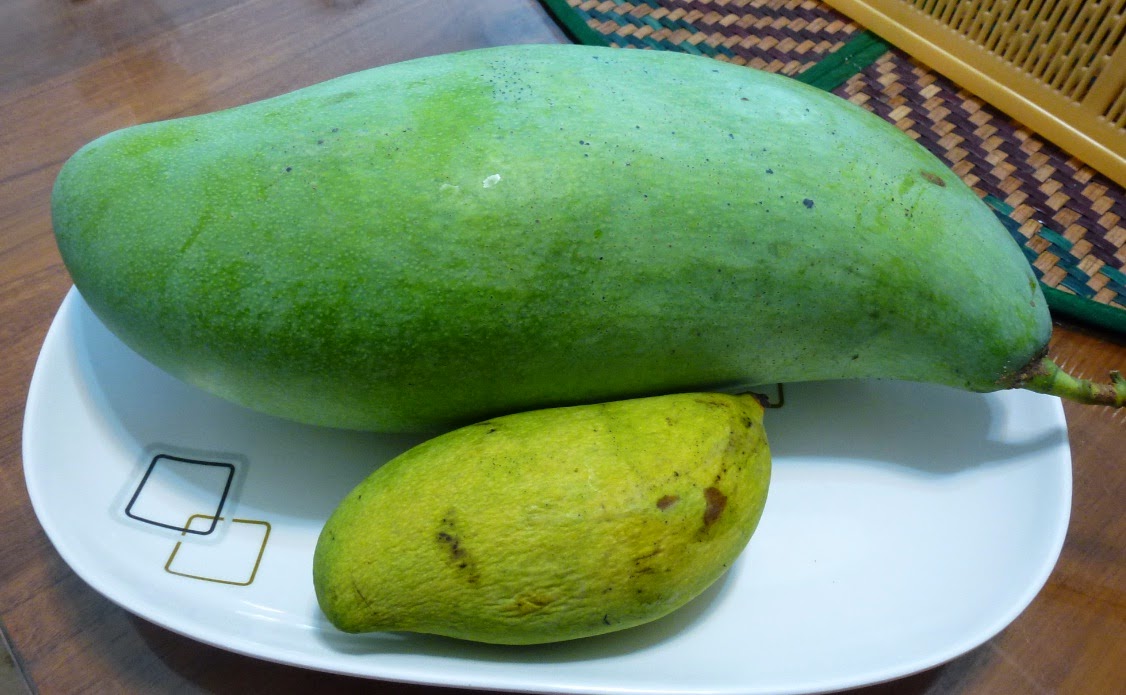 Greenfingers: Mangga Mahathir Tuaian Kedua