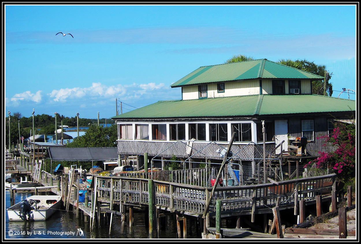 Cedar Key (Florida) Photos: The Mullet House