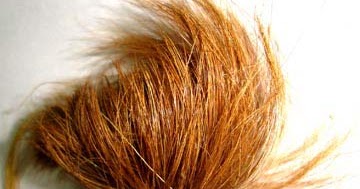 Astrology and Vastu Products, Info, Tips and Articles: Siyar Singhi ...