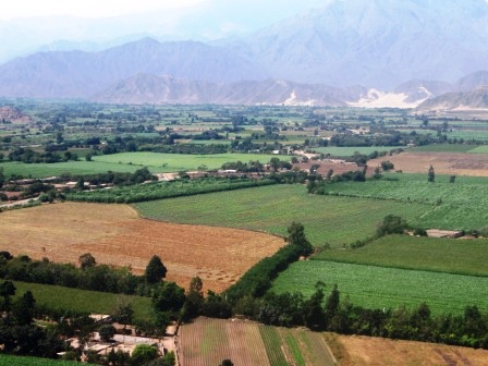 RINCONCITOS DEL PERU: VIRU LA LIBERTAD