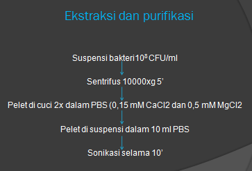 drh. Dewi Murni: Ekstraksi, Purifikasi, dan Karakterisasi ...